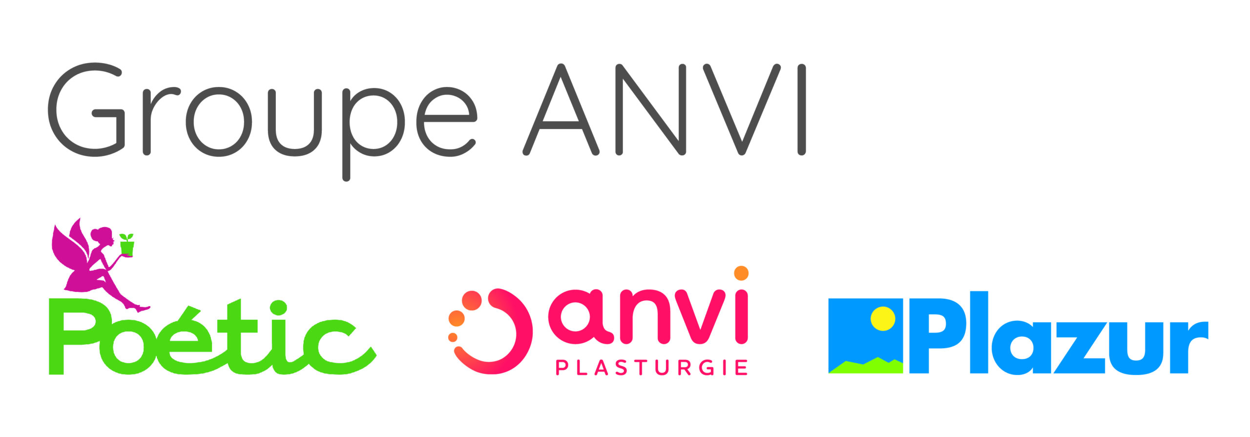 Groupe ANVI - La French Fab