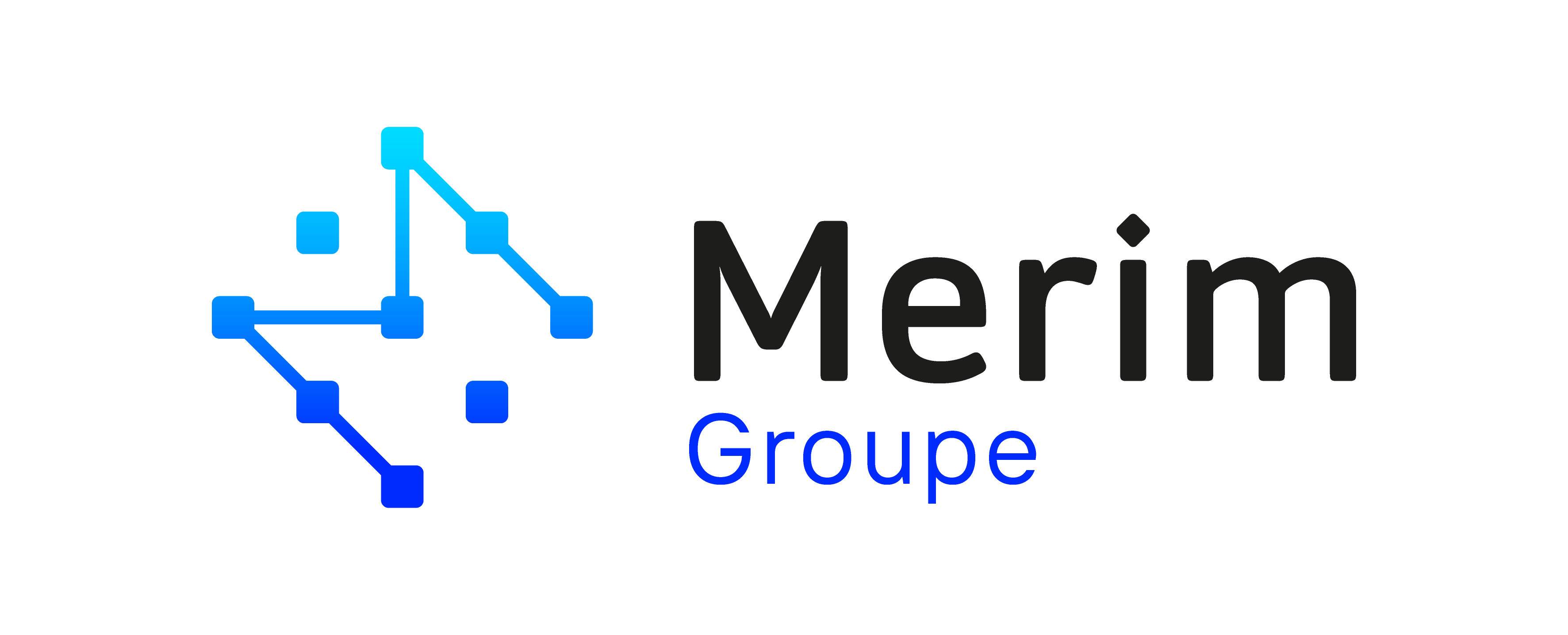 Merim Groupe - La French Fab