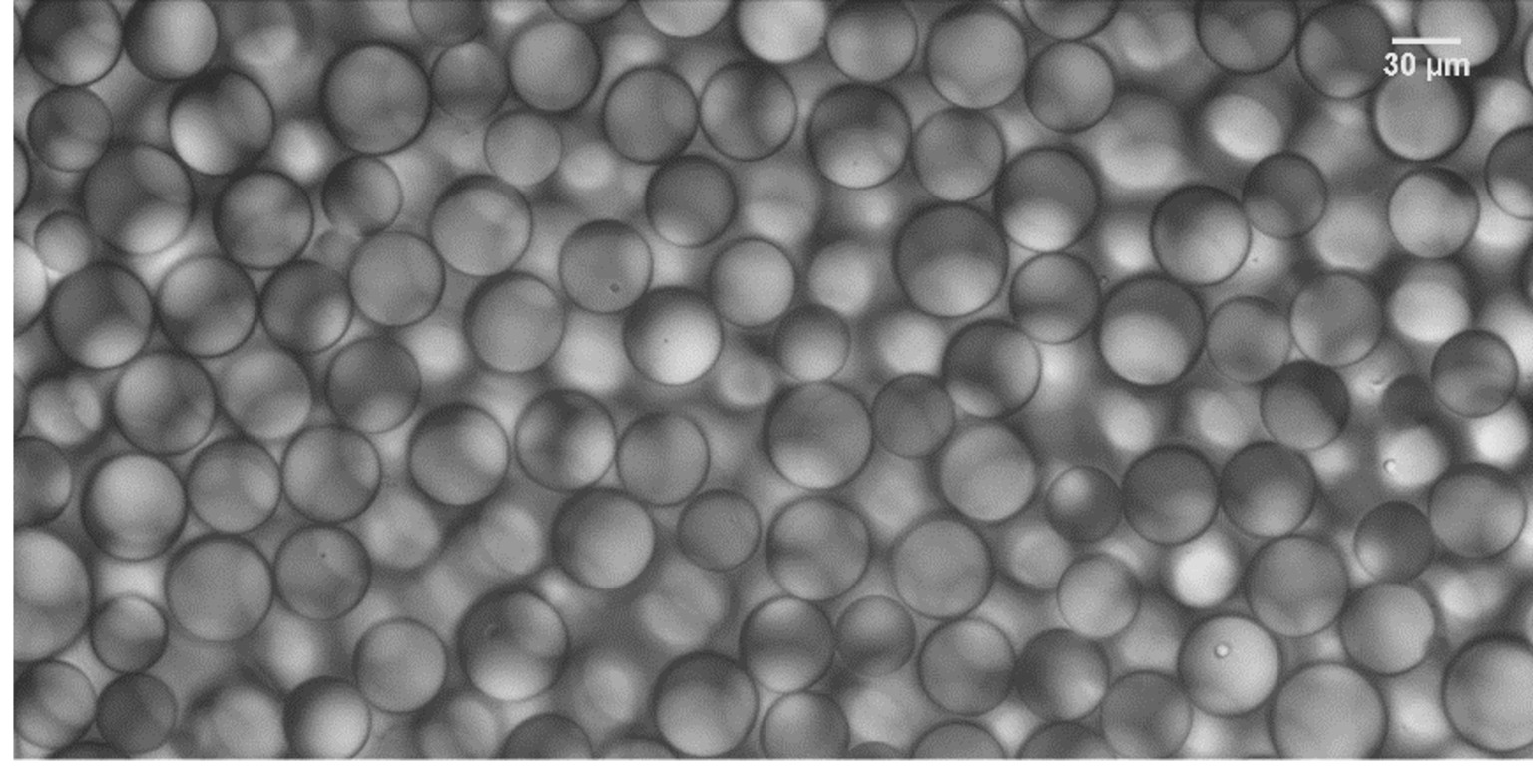 L’Accéléré Calyxia passe à l’échelle industrielle une nouvelle ...