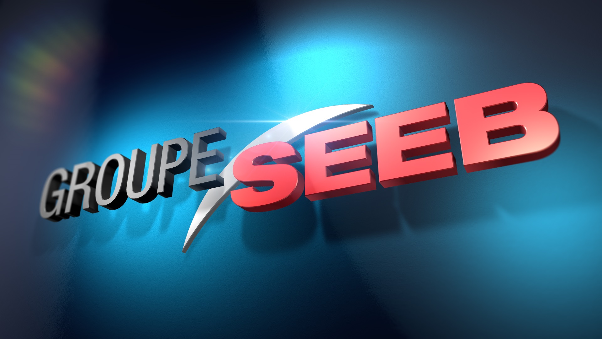 GROUPE SEEB - La French Fab