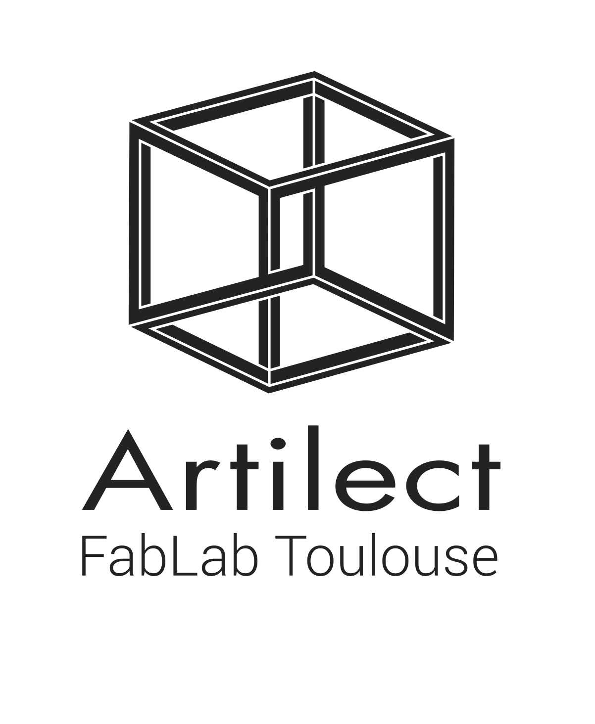 ARTILECT FABLAB - La French Fab